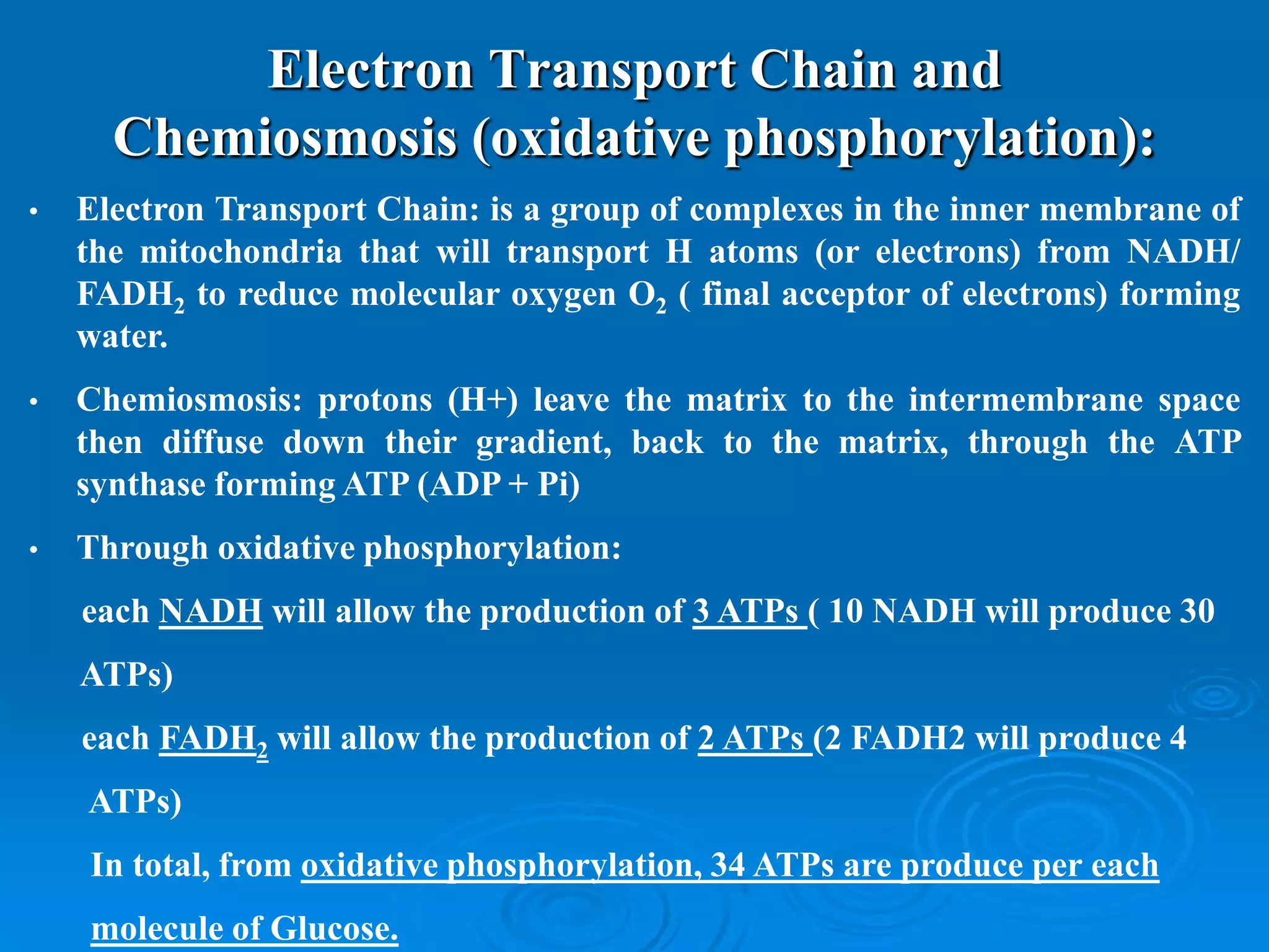 Chapter 8-How cells make ATP-F2022.pdf