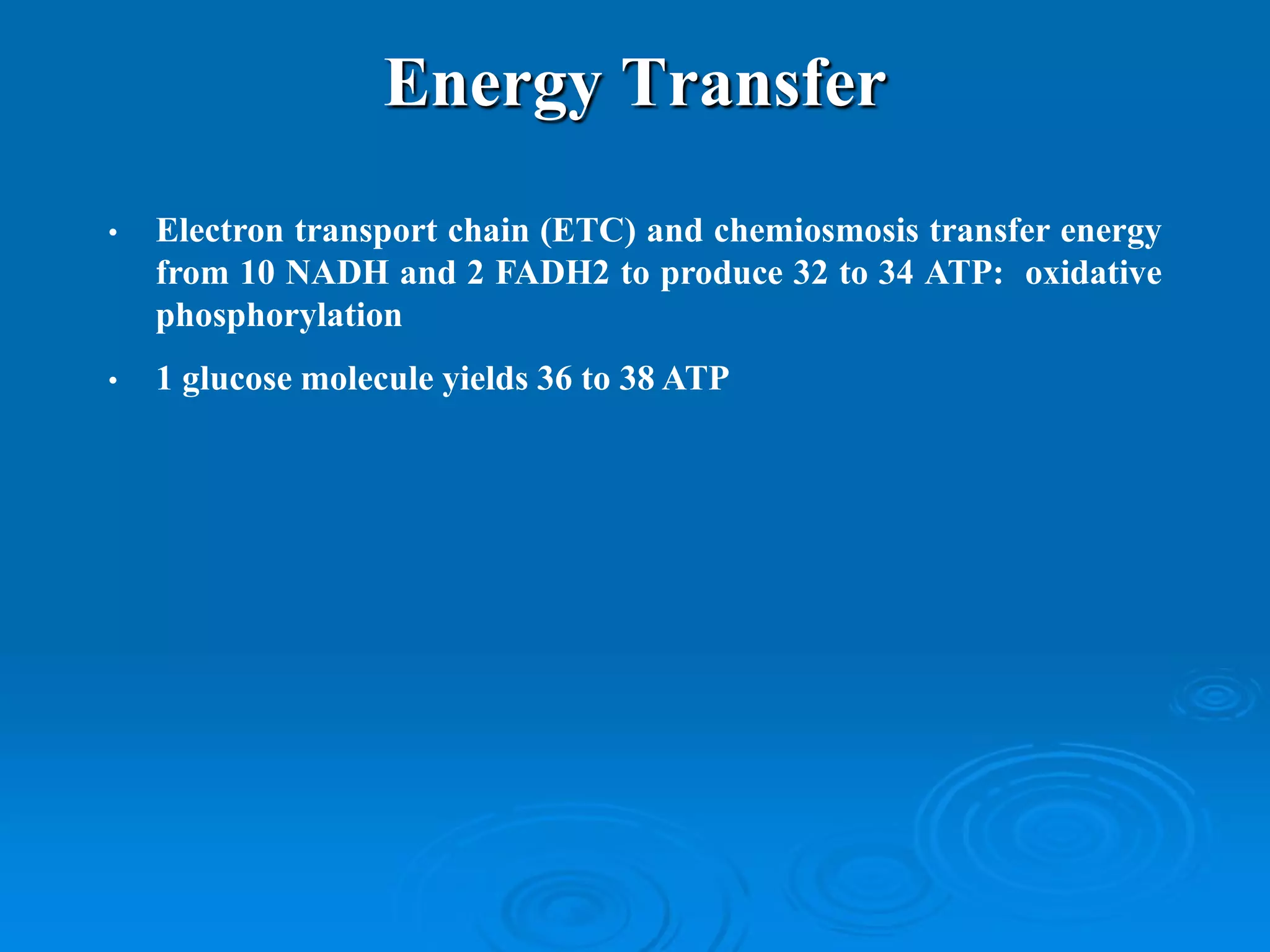 Chapter 8-How cells make ATP-F2022.pdf