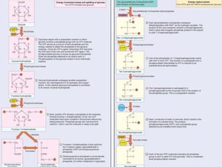 Chapter 8-How cells make ATP-F2022.pdf