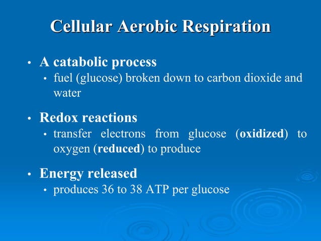 Chapter 8-How cells make ATP-F2022.pdf