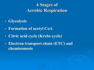 Chapter 8-How cells make ATP-F2022.pdf