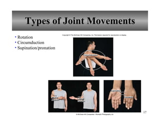 Chapter 8 Joints of the Skeletal System | PPT