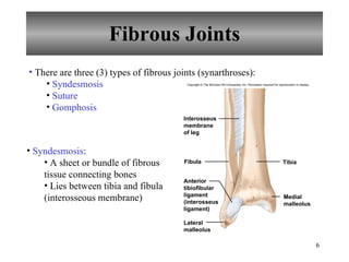Chapter 8 Joints of the Skeletal System | PPT