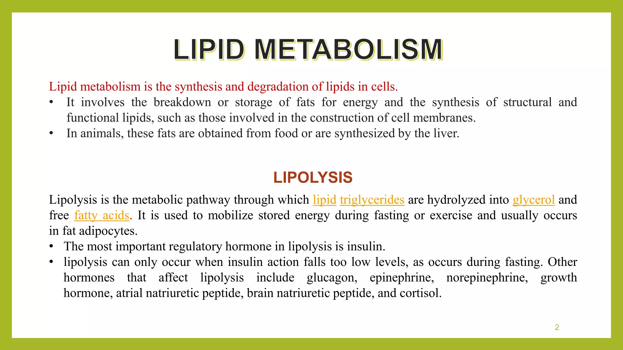 Lipid metabolism | PPTX