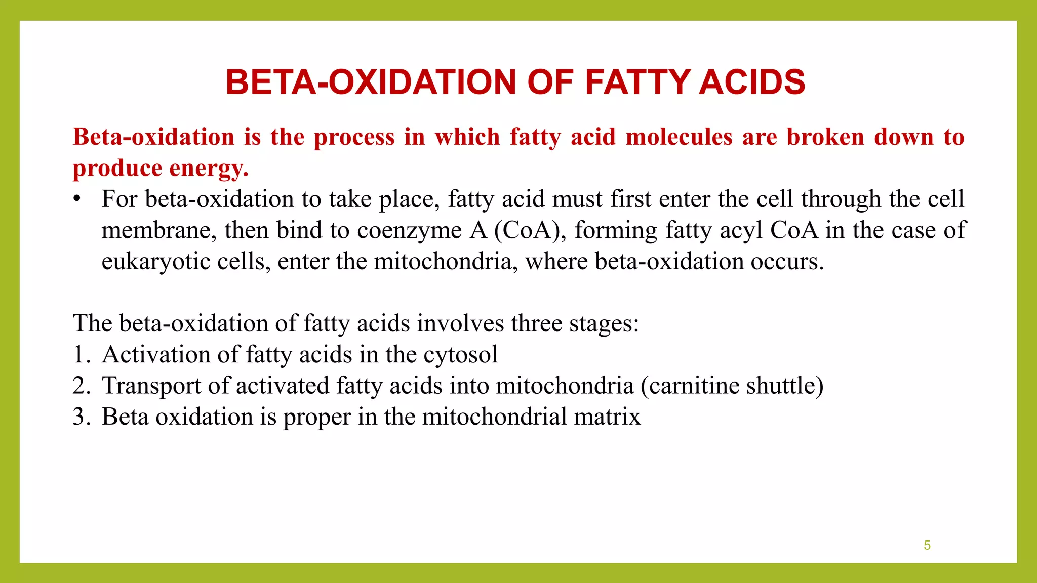 Lipid metabolism | PPTX