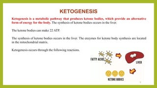 Lipid metabolism | PPTX