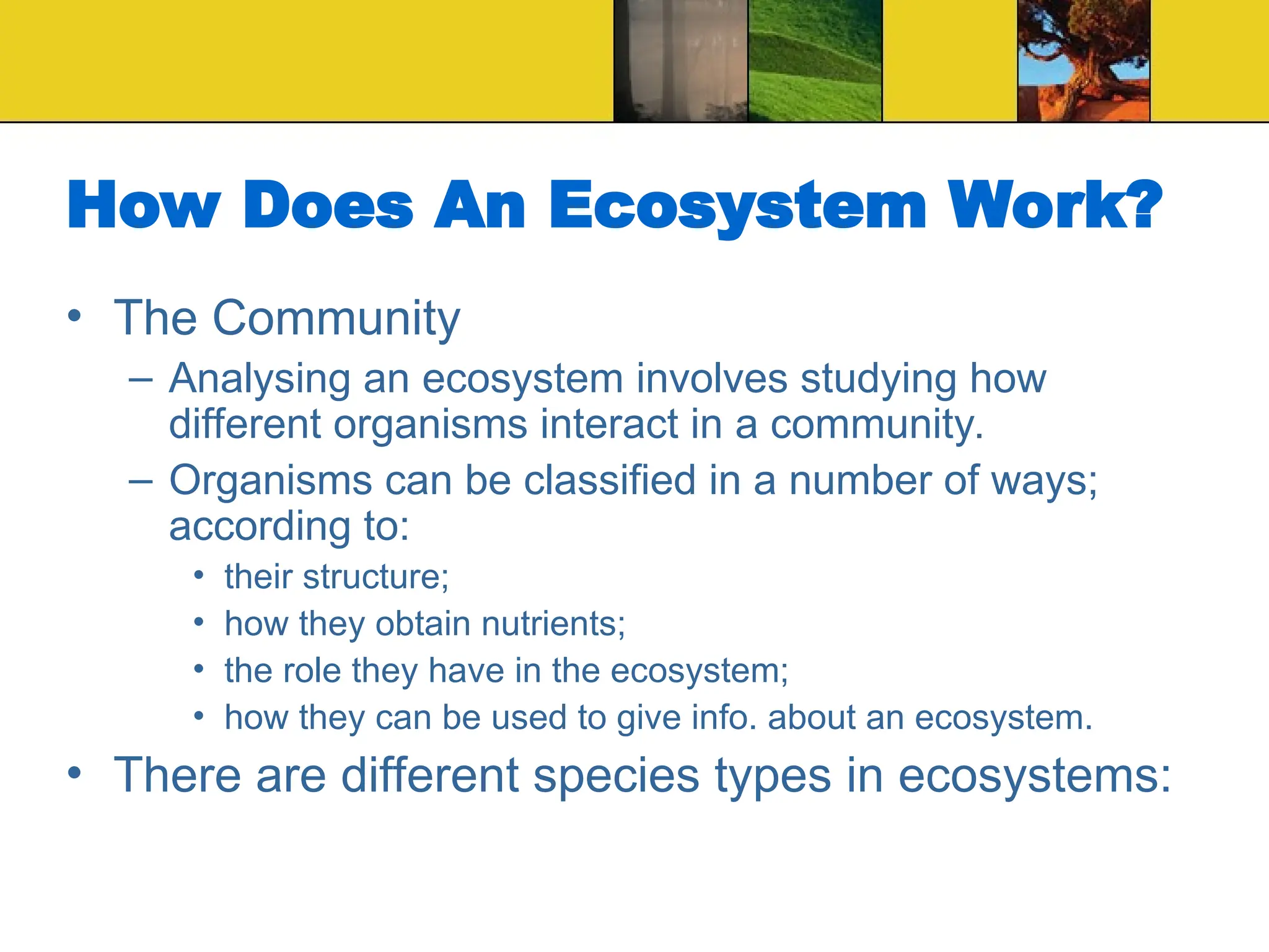 Chapter 8 - Relationships within an Ecosystem.ppt