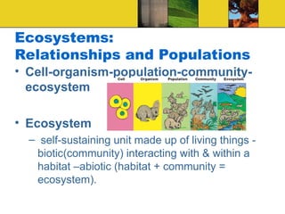 Chapter 8 - Relationships within an Ecosystem.ppt