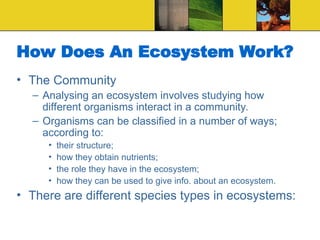 Chapter 8 - Relationships within an Ecosystem.ppt