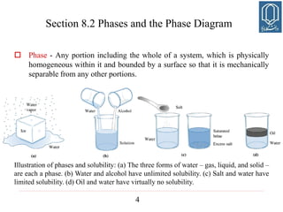 Chapter 8 - Solid Solutions and Phase Equilibrium.pdf