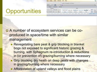 Creating a place-based PES scheme in the South Pennines | PPT