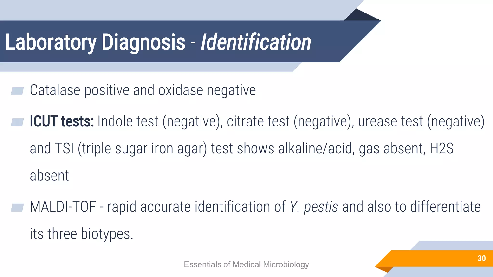 chapter 81 - Zoonotic infections.pptx