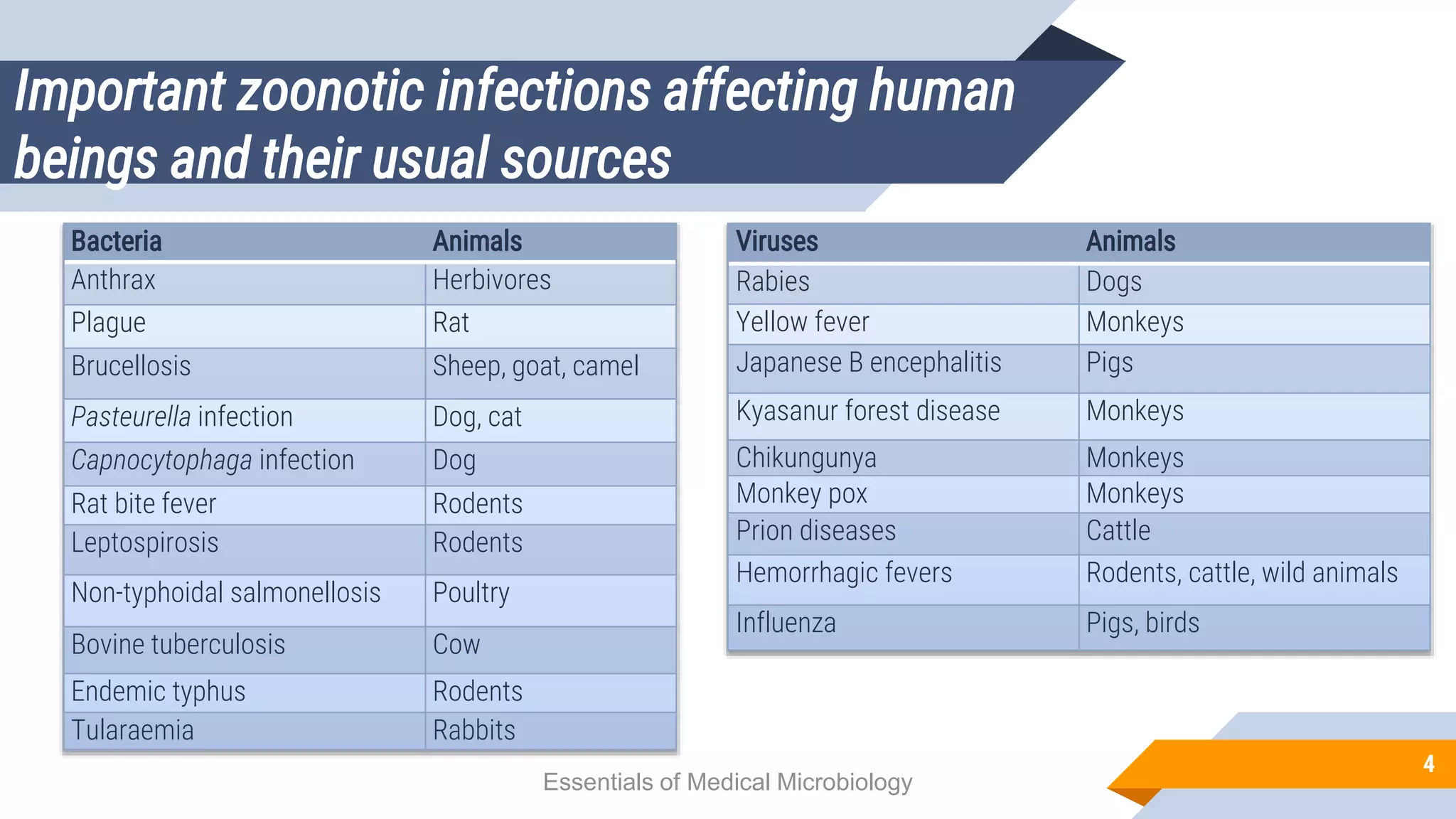 chapter 81 - Zoonotic infections.pptx