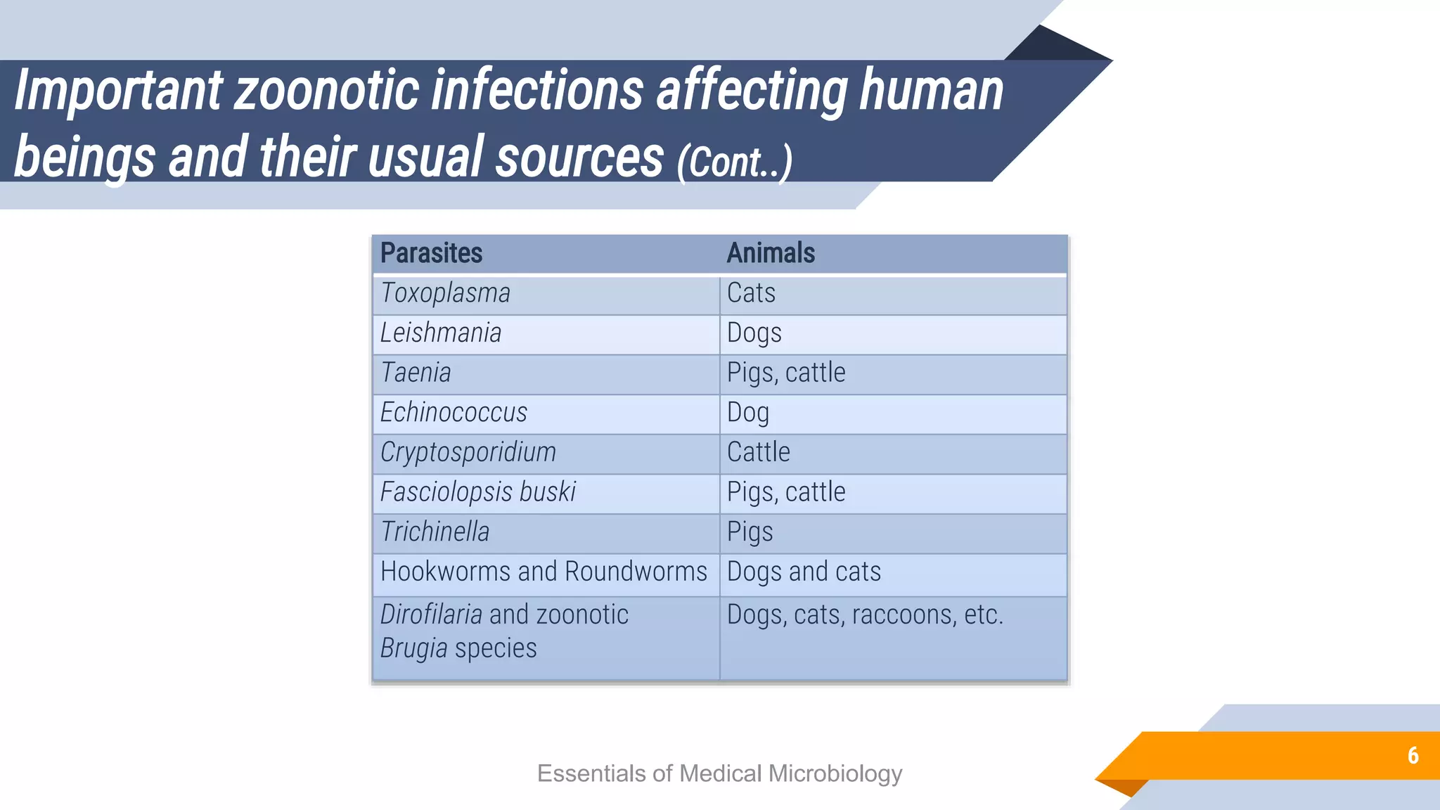 chapter 81 - Zoonotic infections.pptx
