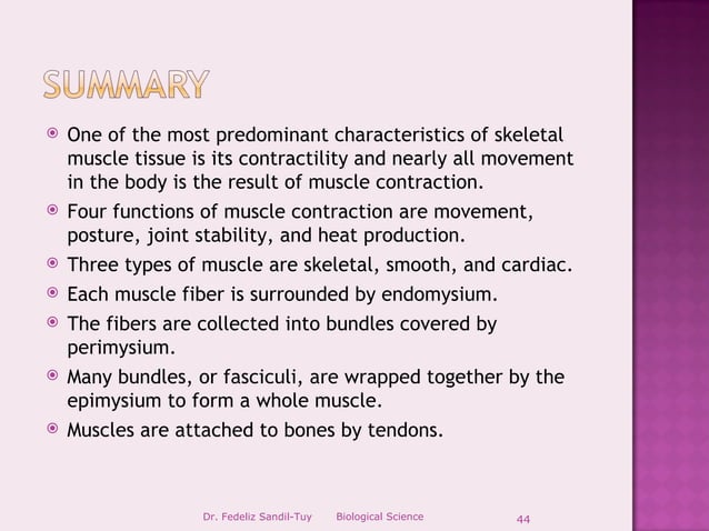 Chapter 8 & 15 muscular | PPT | Biological Sciences | Science