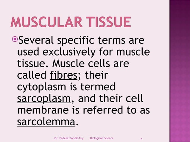 Chapter 8 & 15 muscular | PPT | Biological Sciences | Science