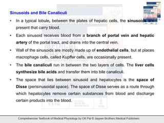 functional anatomy and Physiology of Liver. | PPTX