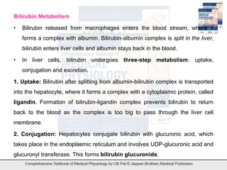 functional anatomy and Physiology of Liver. | PPTX