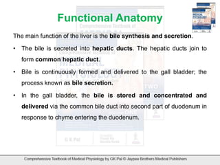 functional anatomy and Physiology of Liver. | PPTX