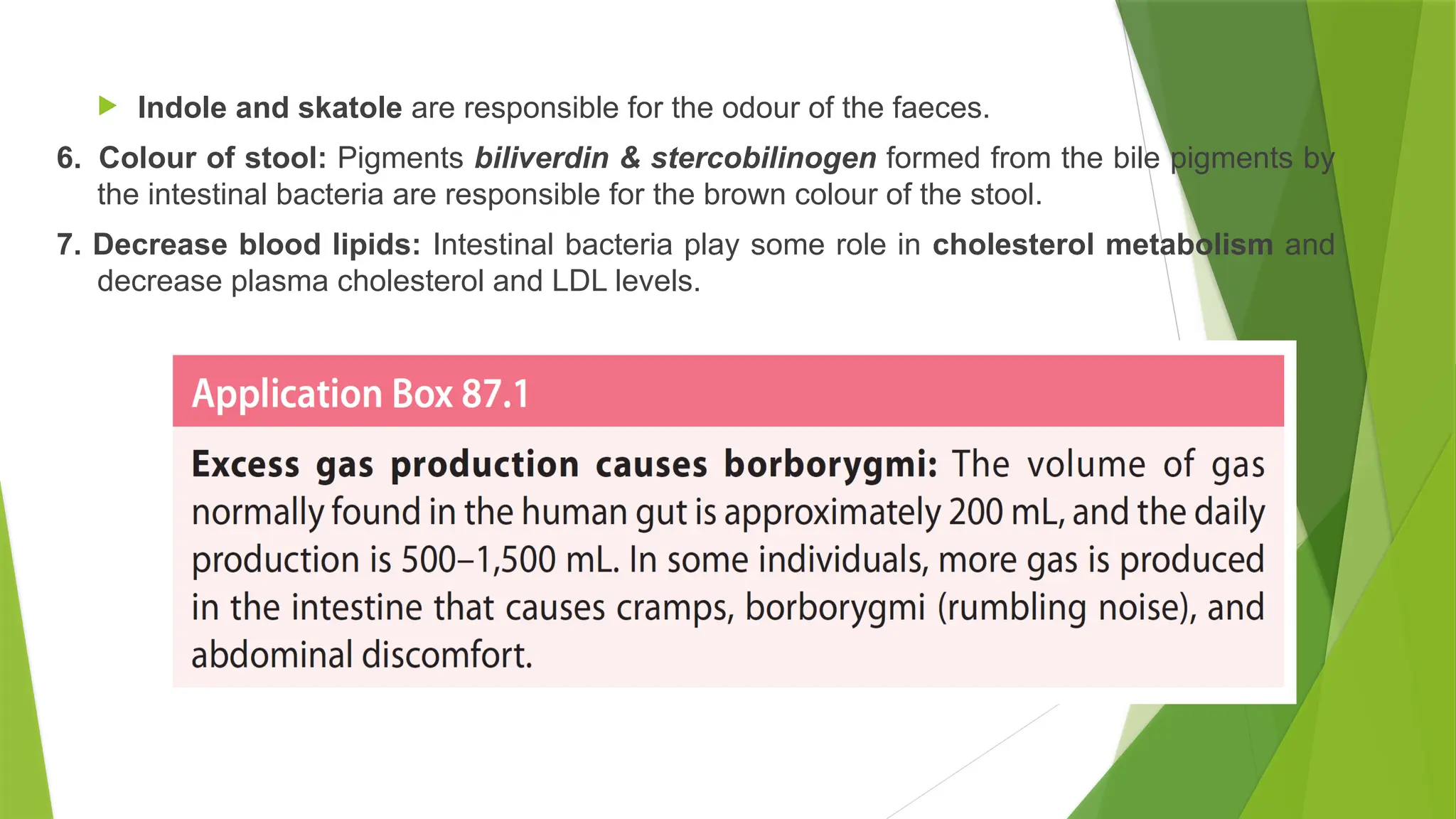 Secretion of Large Intestine , GIT for nursing | PPTX