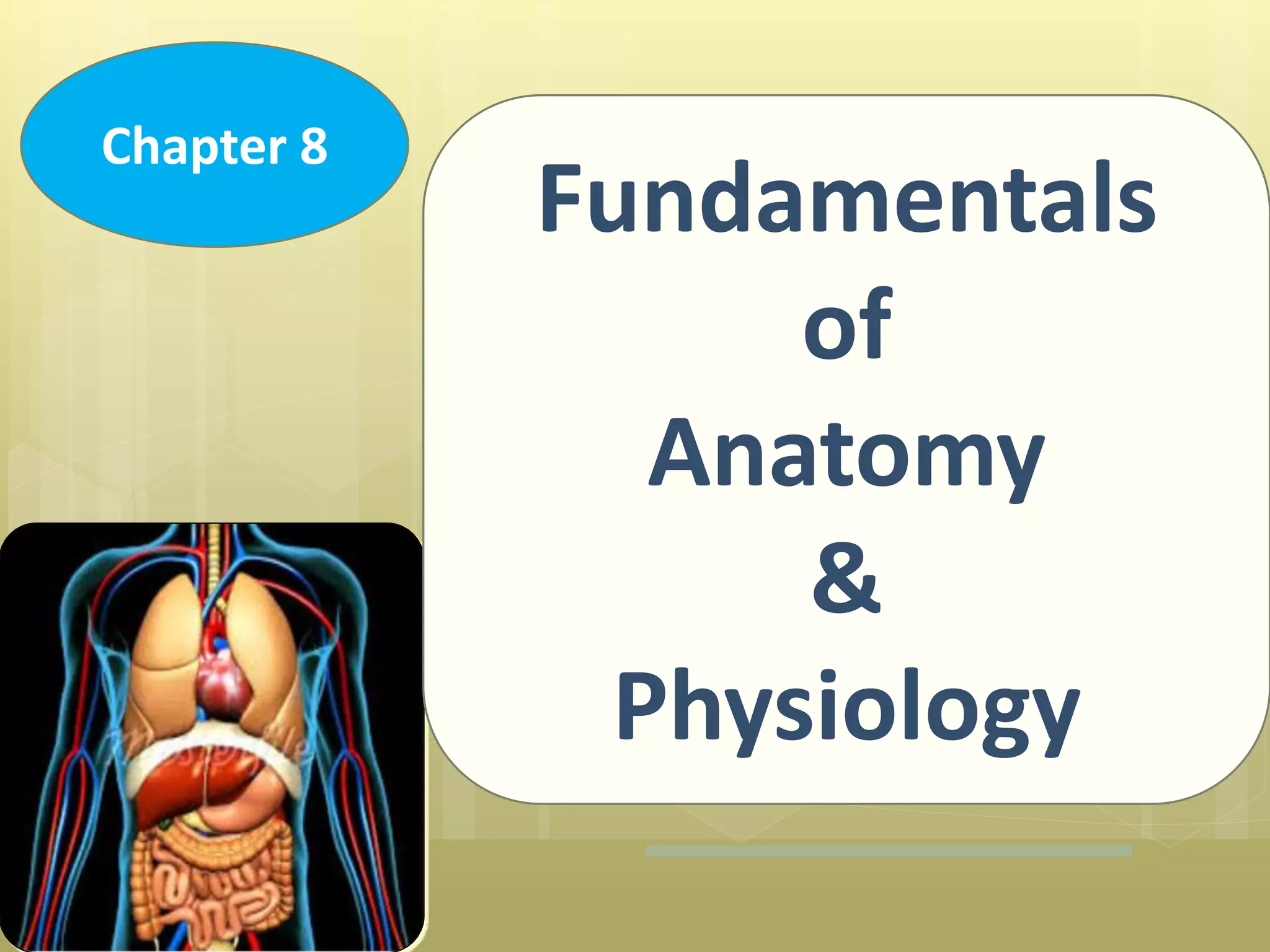 Chapter 8 Fundamentals of Anatomy and Physiology | PPTX