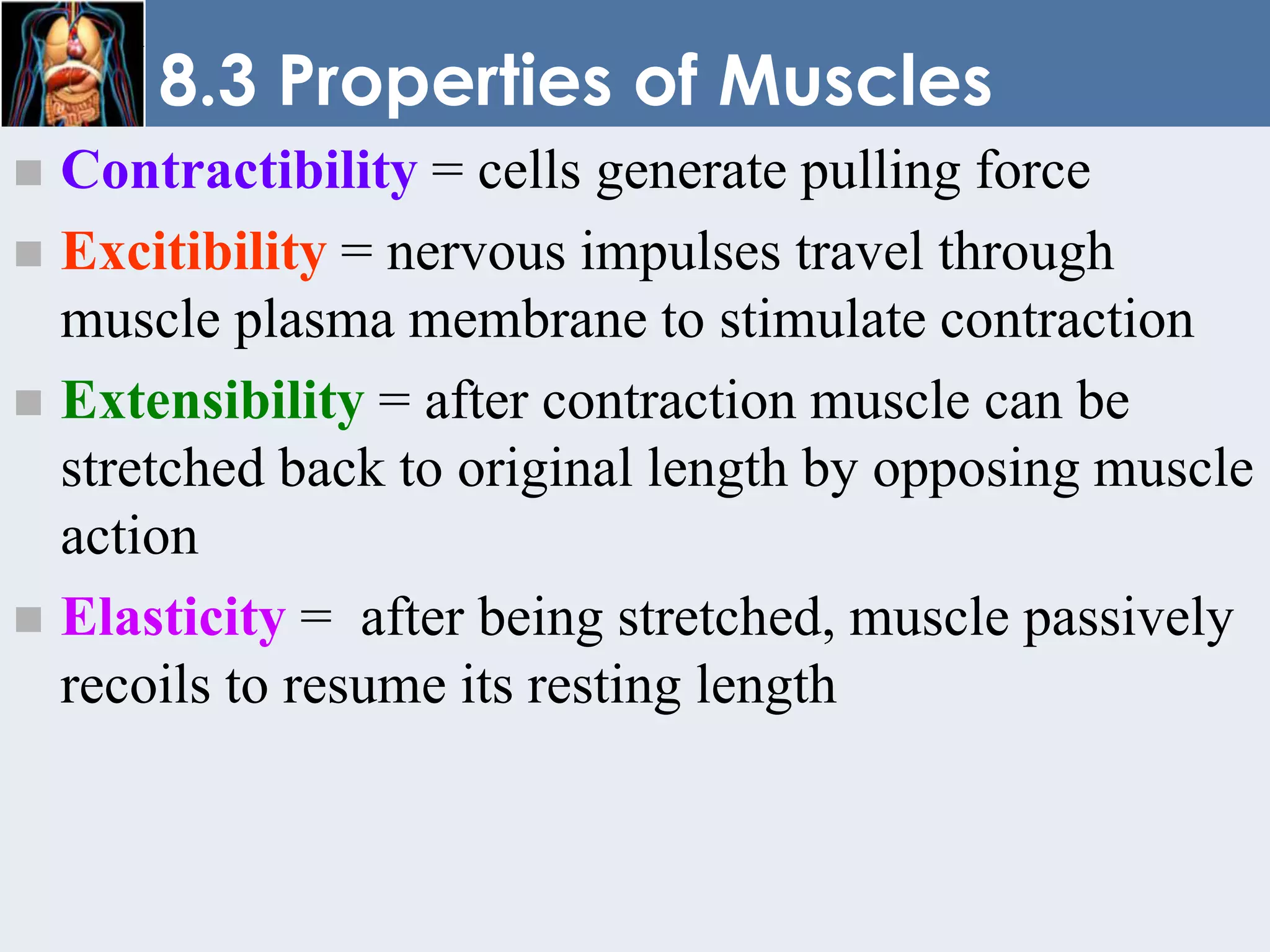 Chapter 8 Fundamentals of Anatomy and Physiology | PPTX