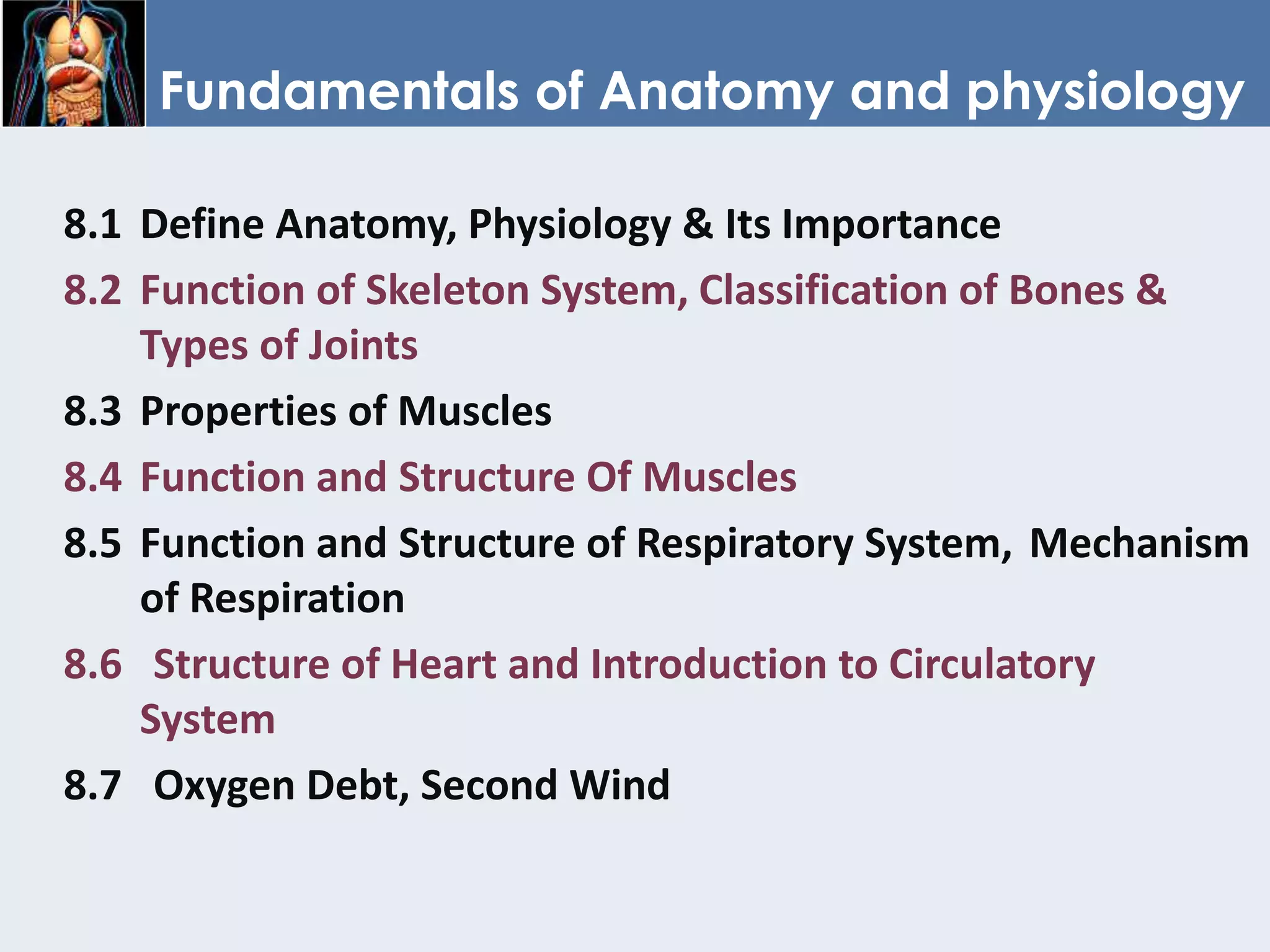 Chapter 8 Fundamentals of Anatomy and Physiology | PPTX