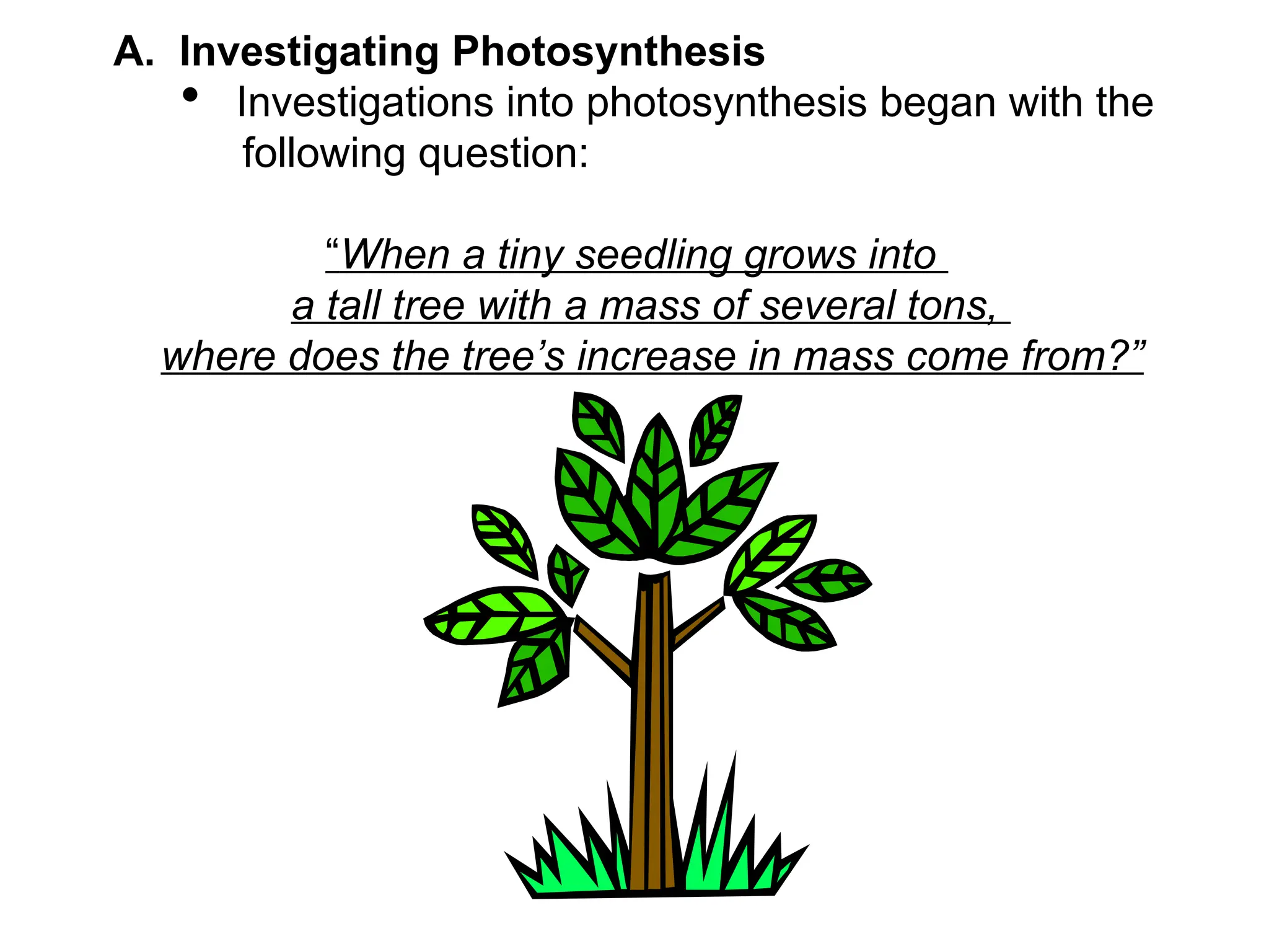 CHAPTER 8 Biology about the introduction of photosynthesis.ppt