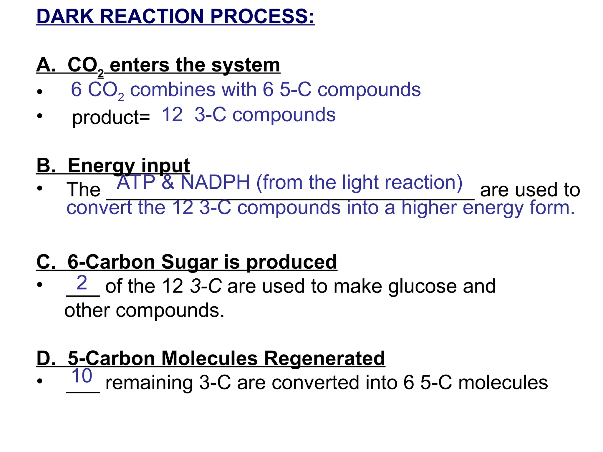 CHAPTER 8 Biology about the introduction of photosynthesis.ppt