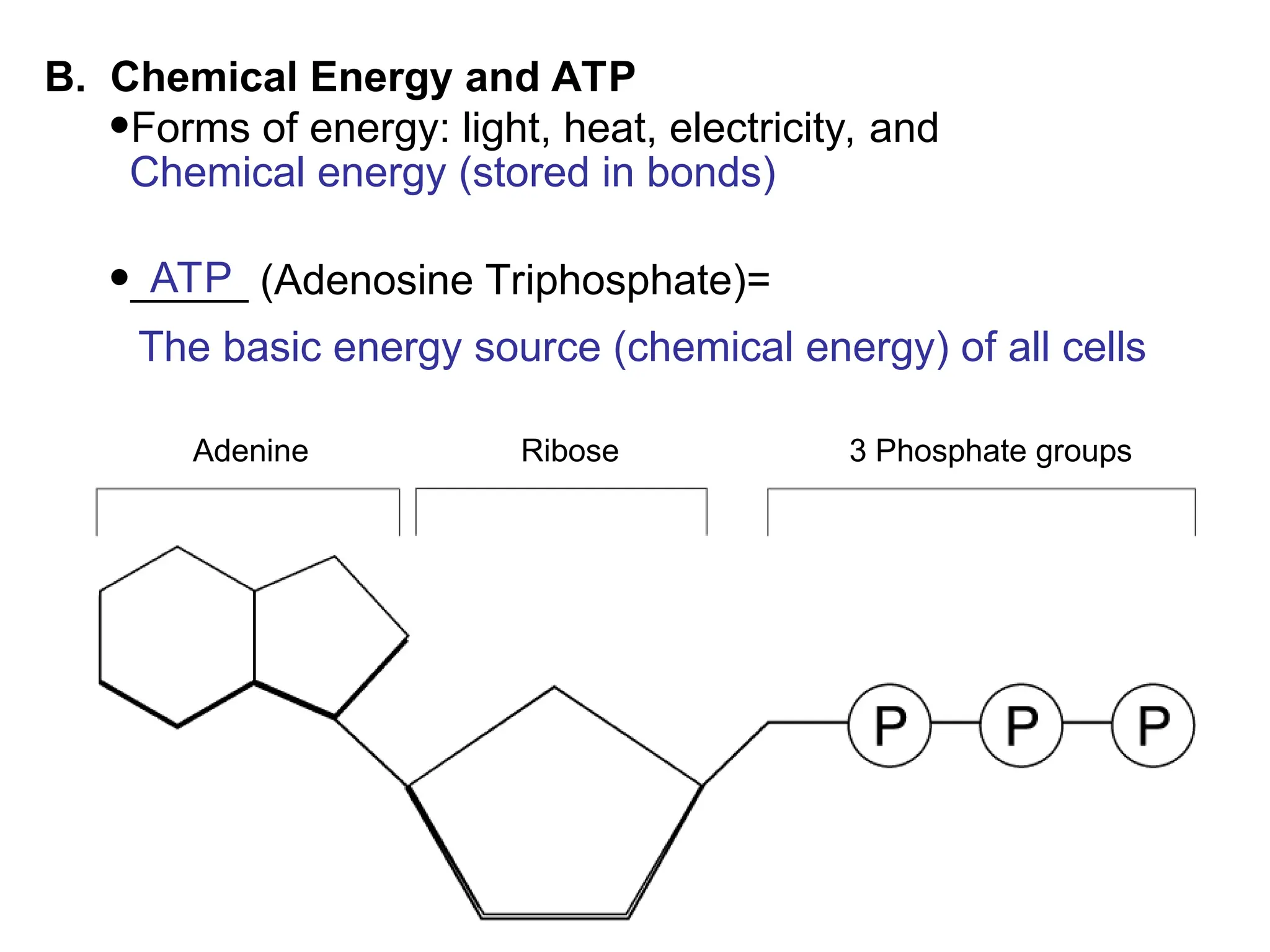 CHAPTER 8 Biology about the introduction of photosynthesis.ppt