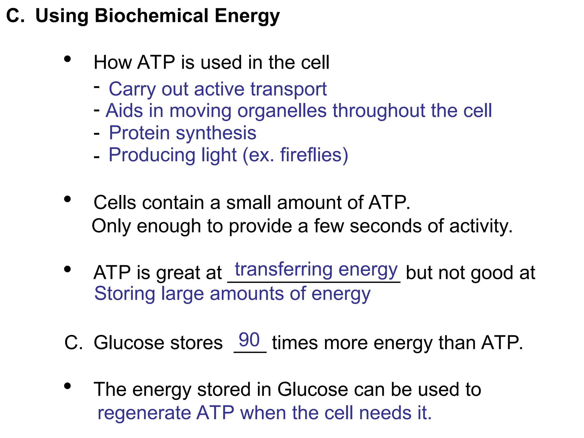 CHAPTER 8 Biology about the introduction of photosynthesis.ppt