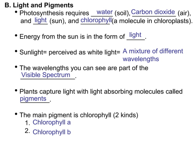 CHAPTER 8 Biology about the introduction of photosynthesis.ppt