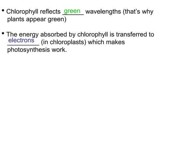 CHAPTER 8 Biology about the introduction of photosynthesis.ppt