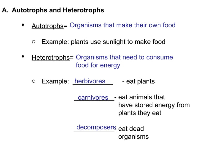 CHAPTER 8 Biology about the introduction of photosynthesis.ppt