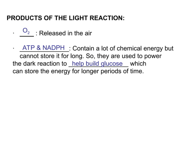 CHAPTER 8 Biology about the introduction of photosynthesis.ppt