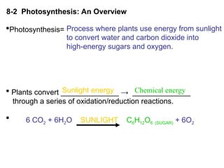 CHAPTER 8 Biology about the introduction of photosynthesis.ppt