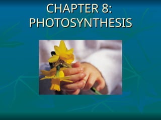 CHAPTER 8 Biology photosynthesis and process.ppt