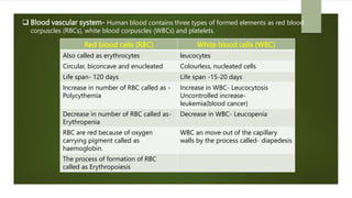 CHAPTER 8 BLOOD.pptx