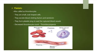 CHAPTER 8 BLOOD.pptx