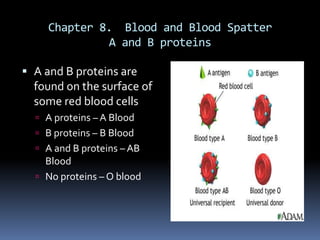 Chapter 8 blood typing | PPTX