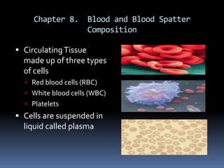 Chapter 8 blood typing | PPT