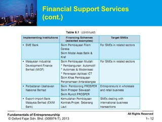 2016 DFE3613 Chapter 8 Business Support System | PPT