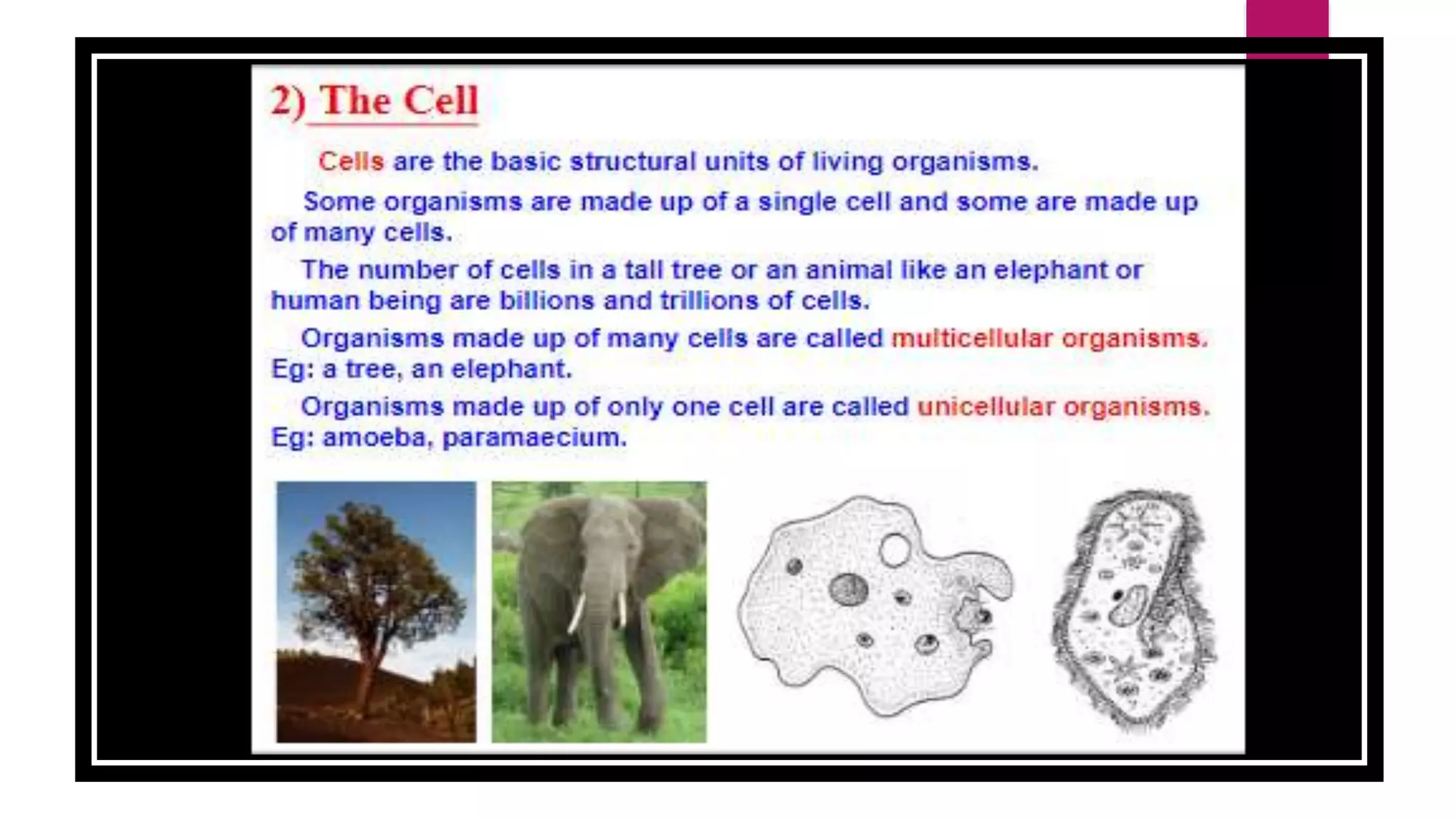 Chapter 8 - Cell Structure and functions | PPT