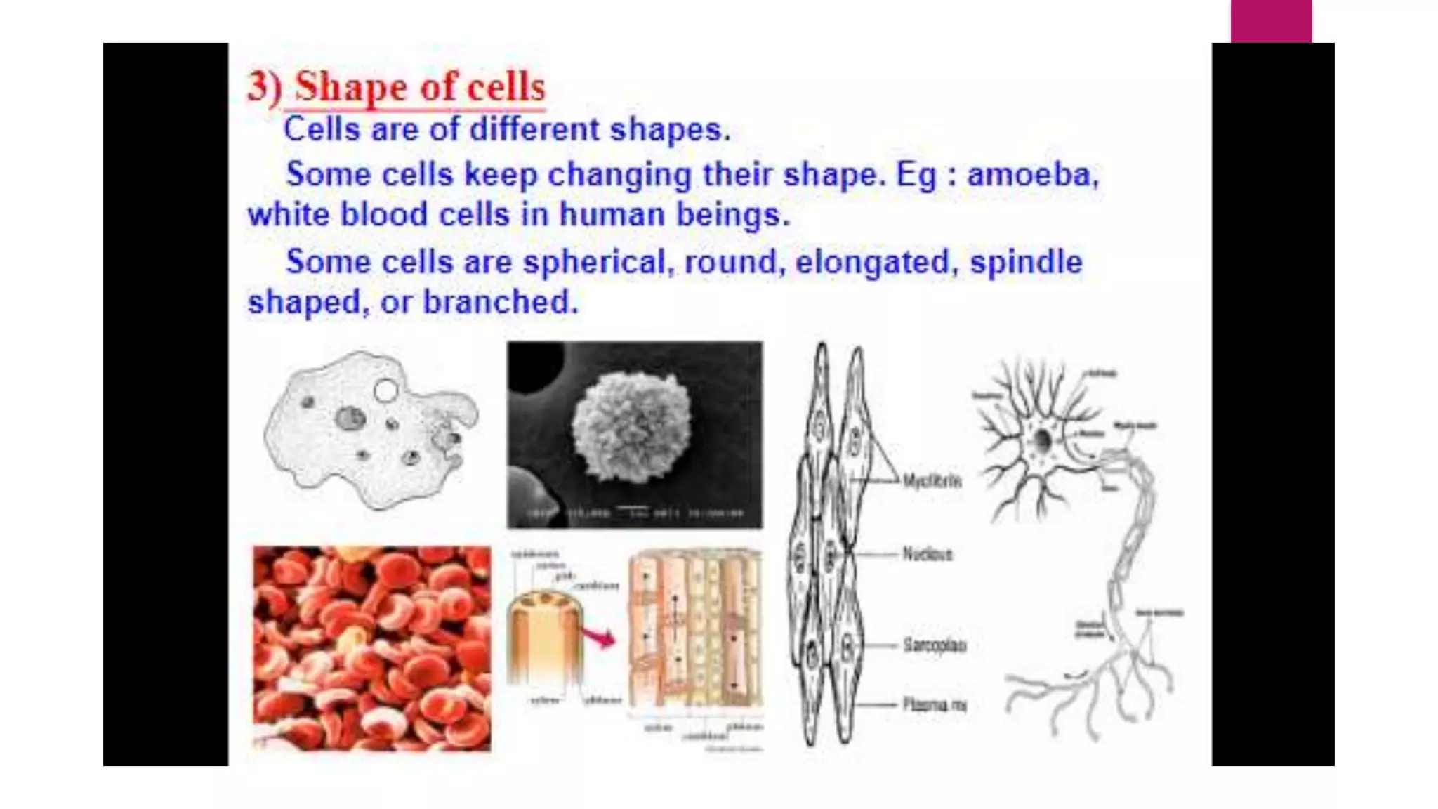 Chapter 8 - Cell Structure and functions | PPT