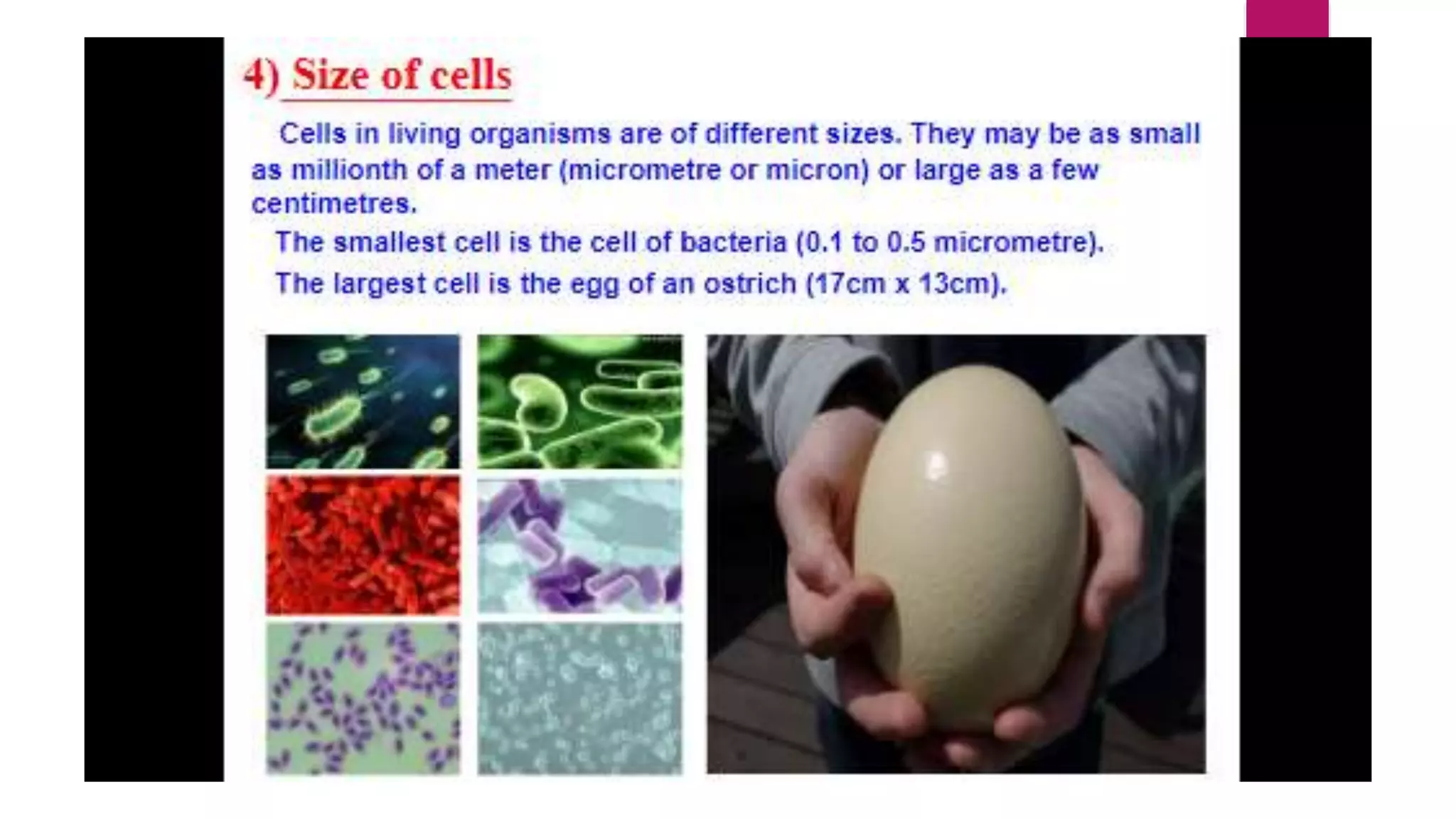 Chapter 8 - Cell Structure and functions | PPT