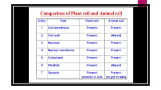 Chapter 8 - Cell Structure and functions | PPT