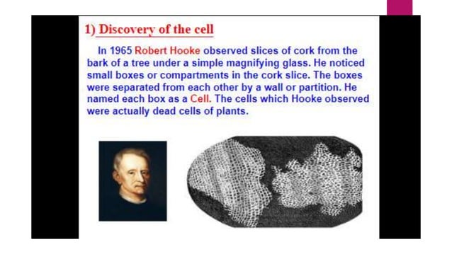 Chapter 8 - Cell Structure and functions | PPT