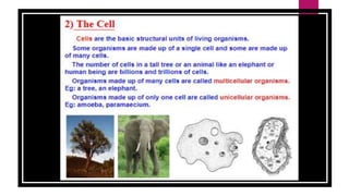 Chapter 8 - Cell Structure and functions | PPT