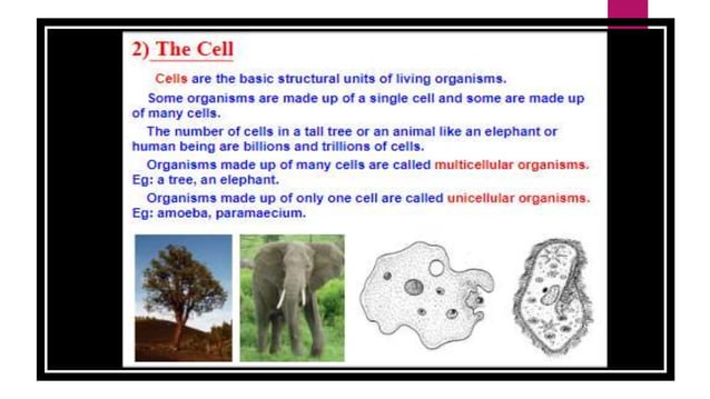 Chapter 8 - Cell Structure and functions | PPT