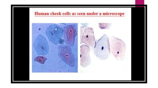 Chapter 8 - Cell Structure and functions | PPT